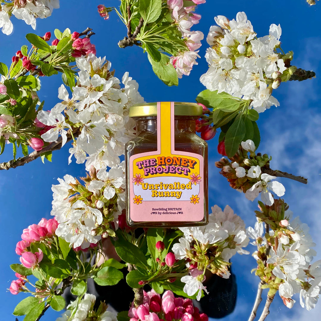 The Honey Project