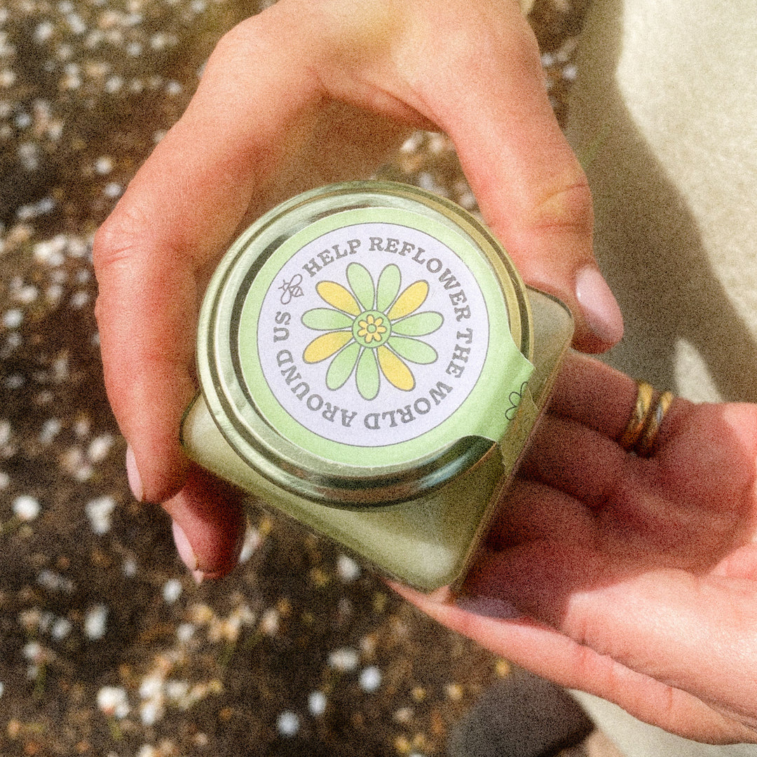 Story – The Honey Project