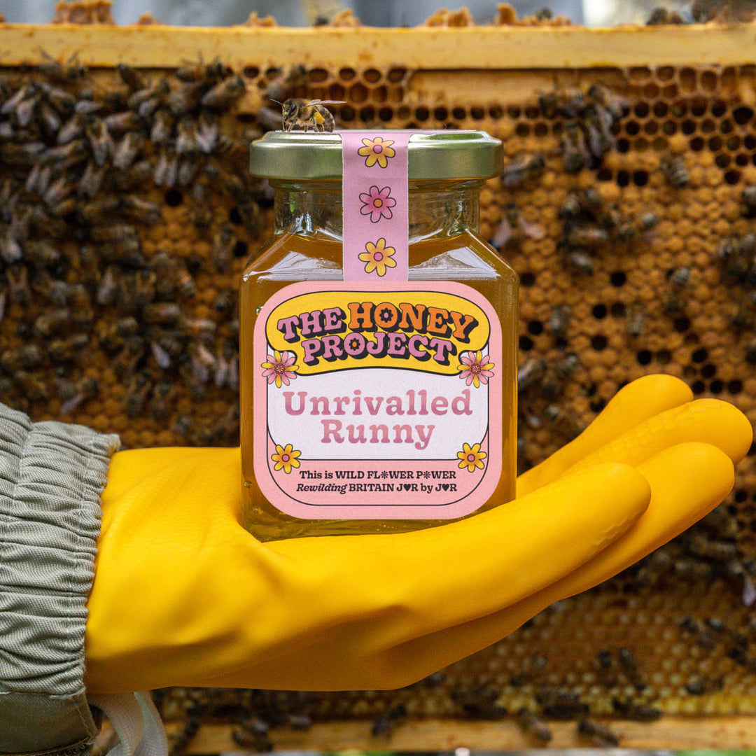 The Honey Project