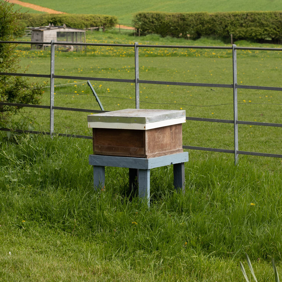 The Honey Project